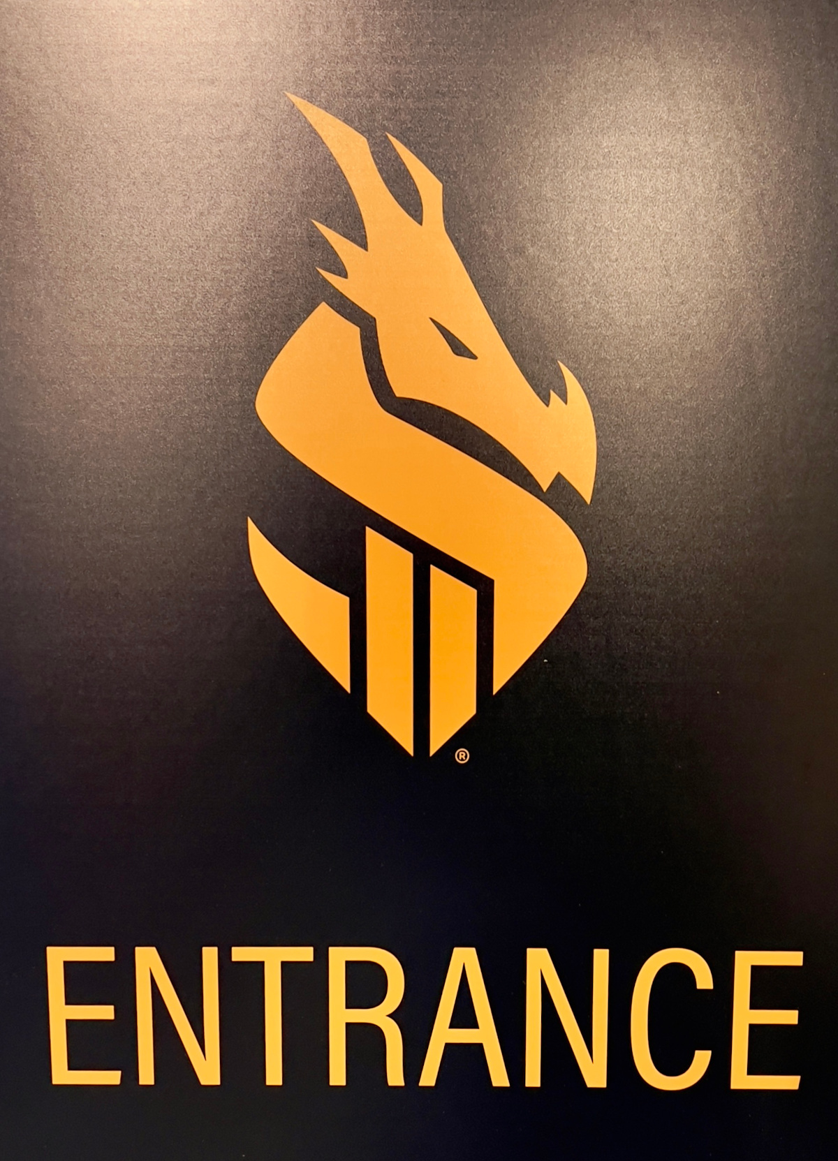 5 Things You Need to Know Before Going to Dragonsteel 2023 - SKKAW.BLOG